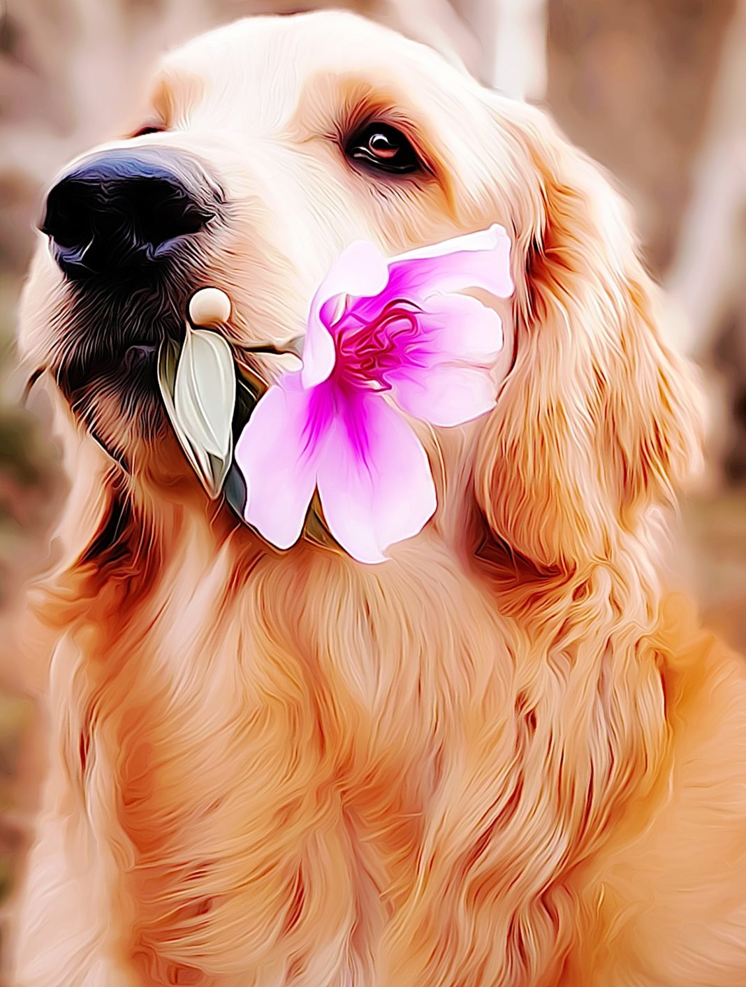 Flower Names For Dogs +160 Best | Female | Male - PetShoper