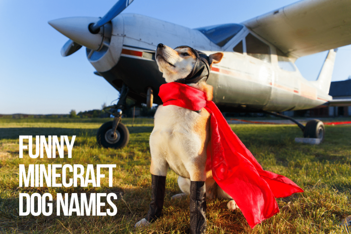Minecraft Dog Names 134+ Best & Cute & Top Dog Names - PetShoper